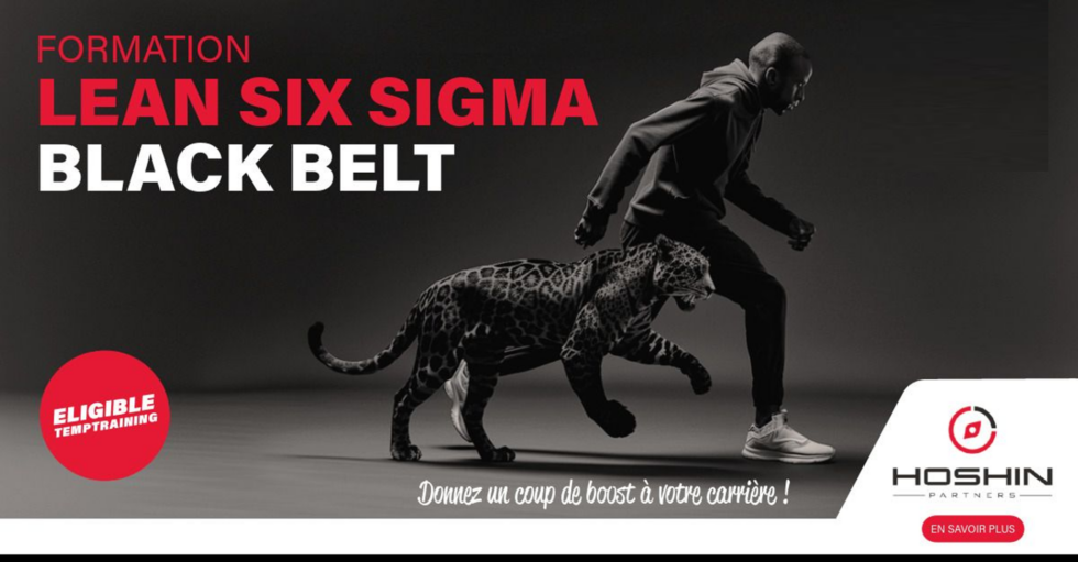 Formation Black Belt Lean Six Sigma - HOSHIN PARTNERS